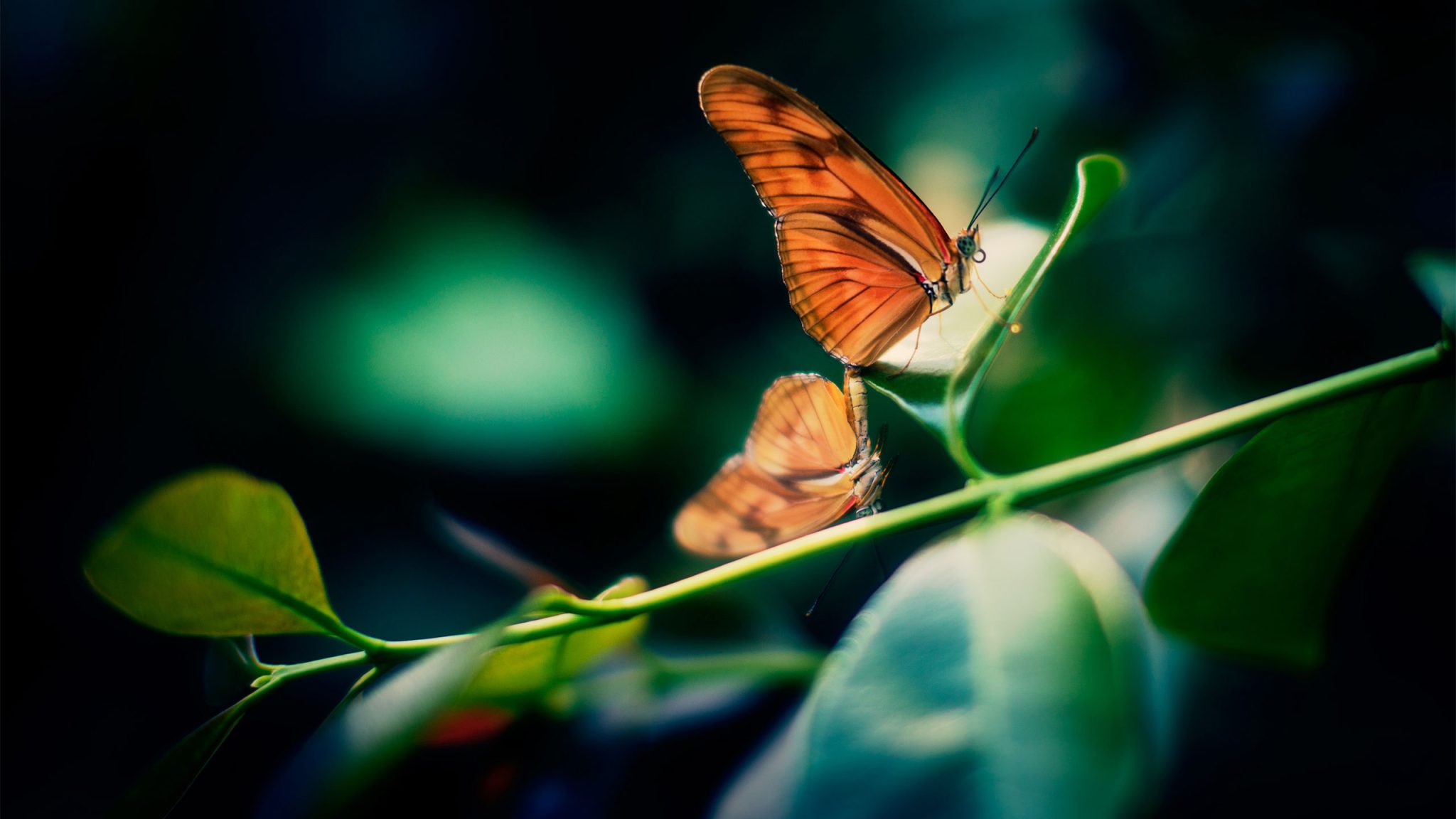 Snog Slider - Post Kit