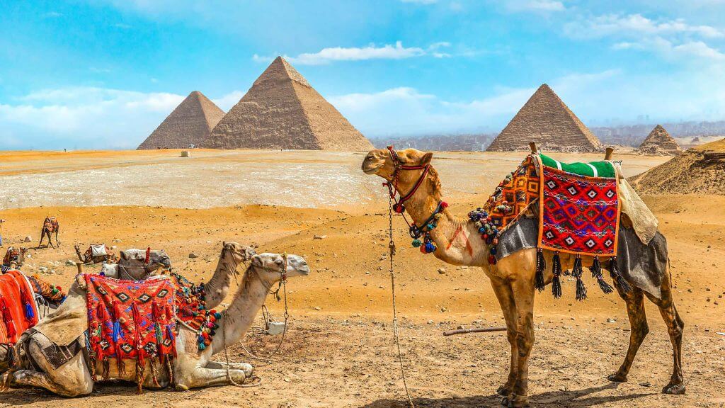 Foxico Slider - Post Kit